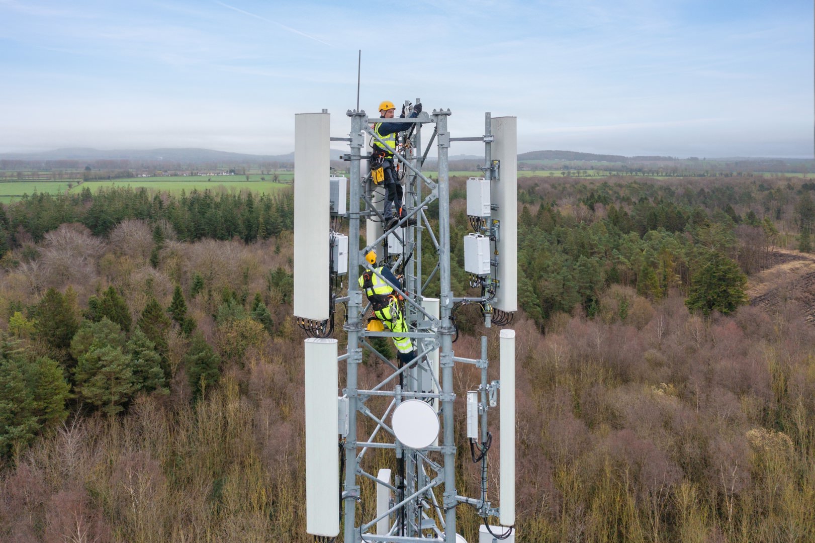 Obelisk | Our Services